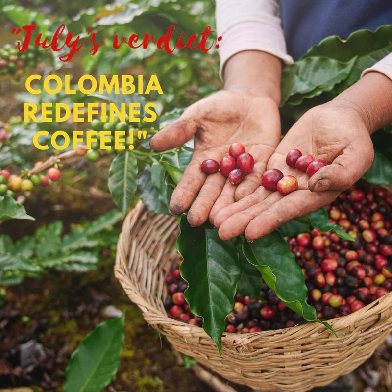 The July Verdict: Unraveling Colombian Coffee Production and Trade Trends